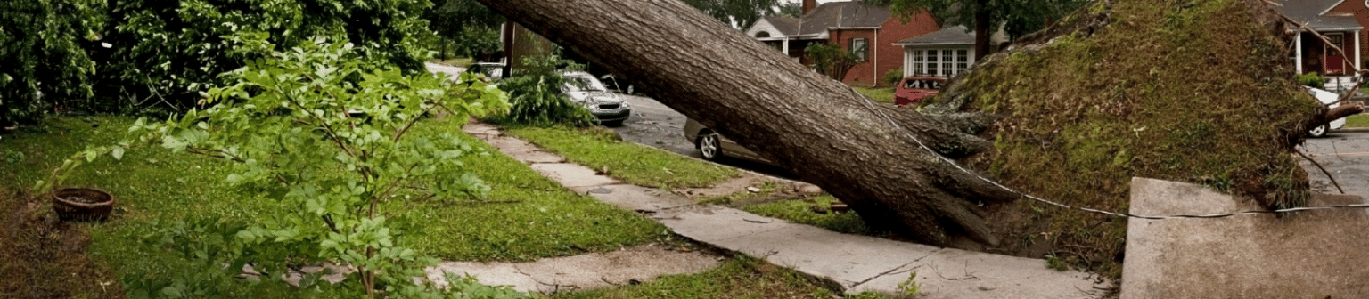 Steps to mitigate a loss after a flood or storm – Twenty Tips for ...